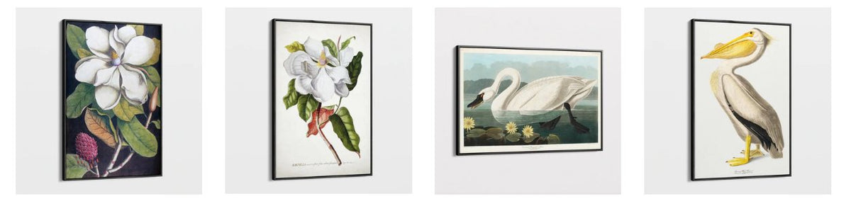 ECD Wall Art – The Anna-Maud Collection