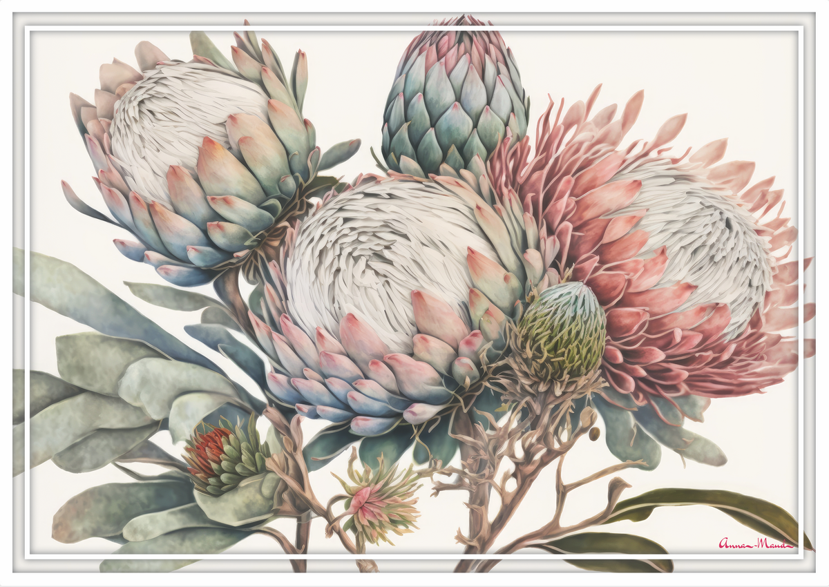 Vinyl Placemats - Set of 4 - Protea Cluster – The Anna-Maud Collection